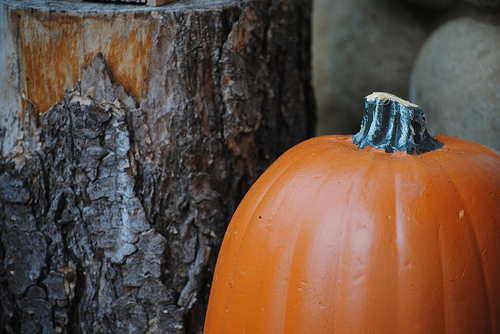 INTRODUCING A NEW WORD: /stemp/ (n) – Wondermark